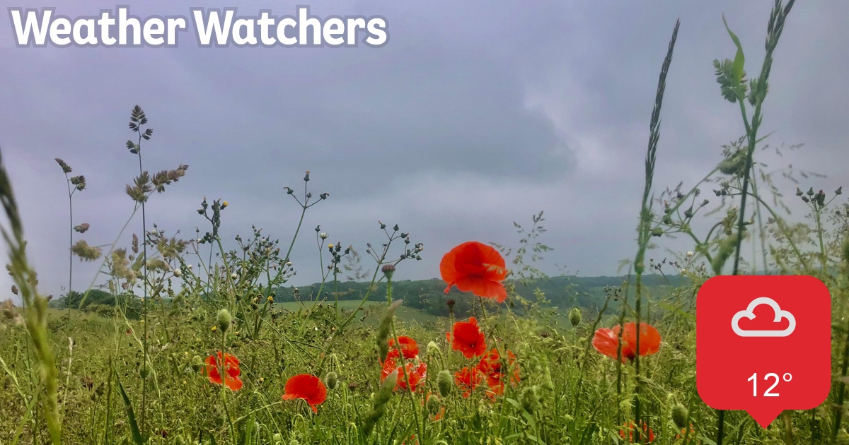 Report - BBC Weather Watchers