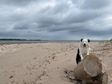 St Andrews - BBC Weather