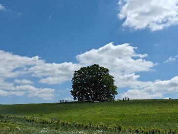 Basildon - BBC Weather