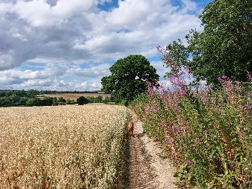 Winchester - BBC Weather