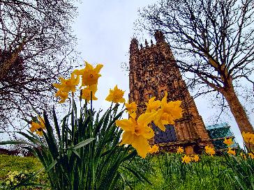 Denbigh - BBC Weather