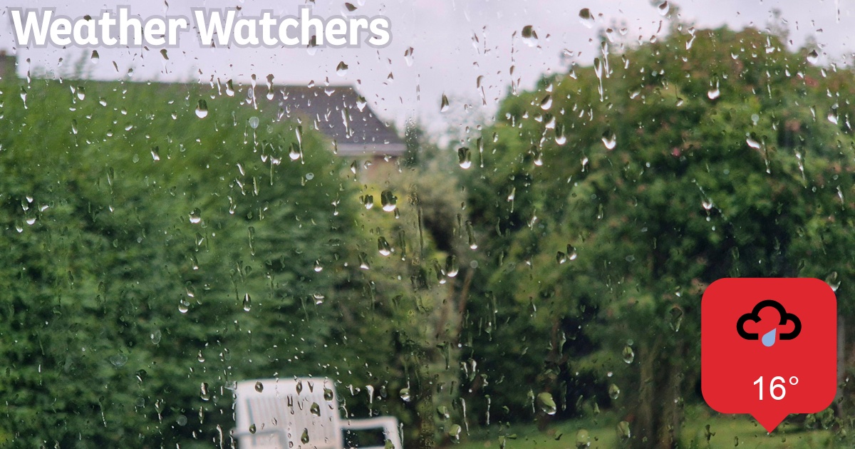Report - BBC Weather Watchers