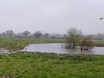 Tyldesley - BBC Weather