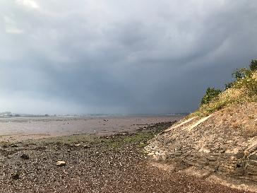 Barnstaple - BBC Weather