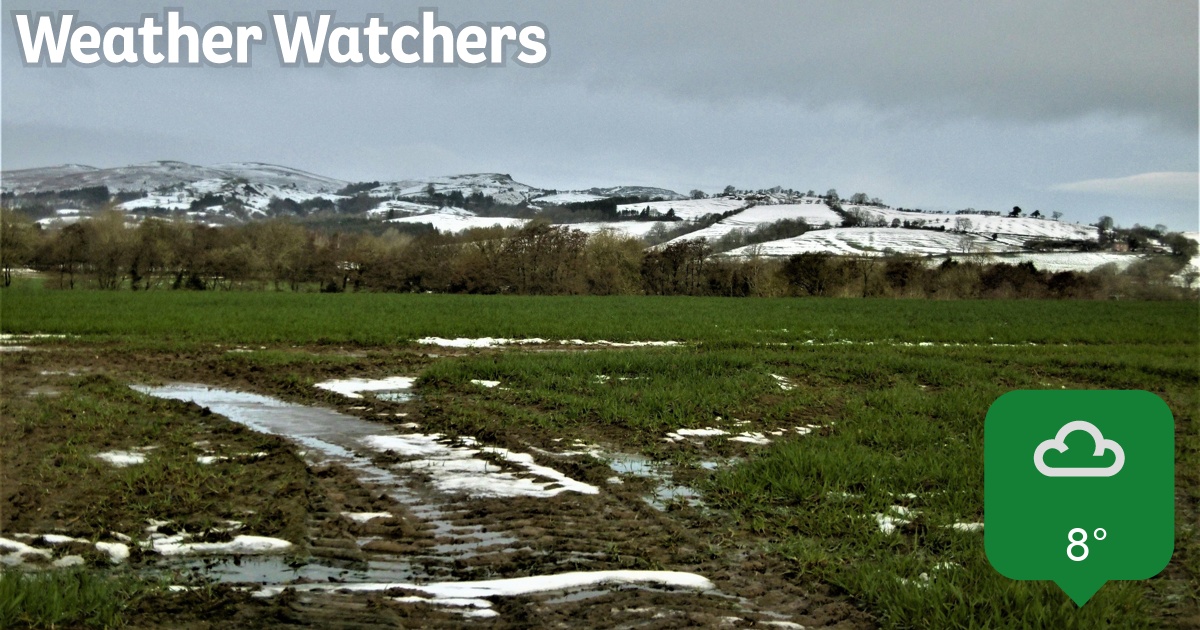 Report - BBC Weather Watchers