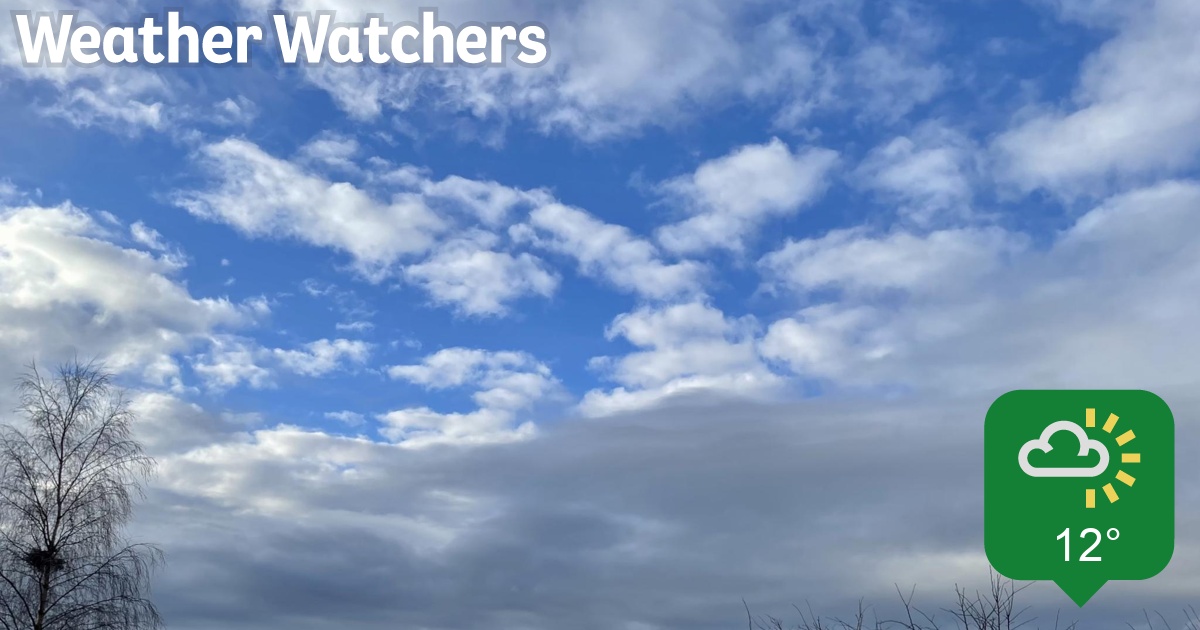 Report - BBC Weather Watchers