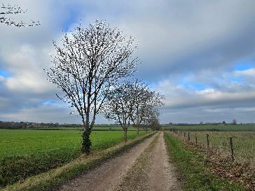 Mildenhall Royal Air Force Base - BBC Weather