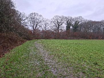 Harrow - BBC Weather