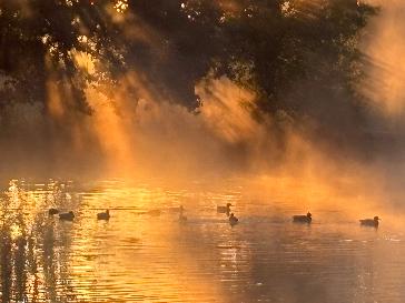 Redditch - BBC Weather