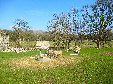 Belper - BBC Weather