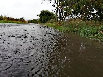 Basildon - BBC Weather