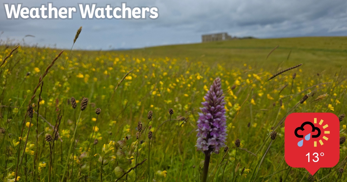 Report - BBC Weather Watchers
