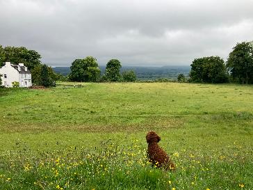 Dunoon - BBC Weather