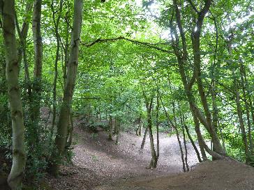 Nuneaton - BBC Weather
