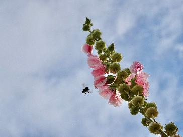 Leicester - BBC Weather