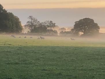 Oswestry - BBC Weather