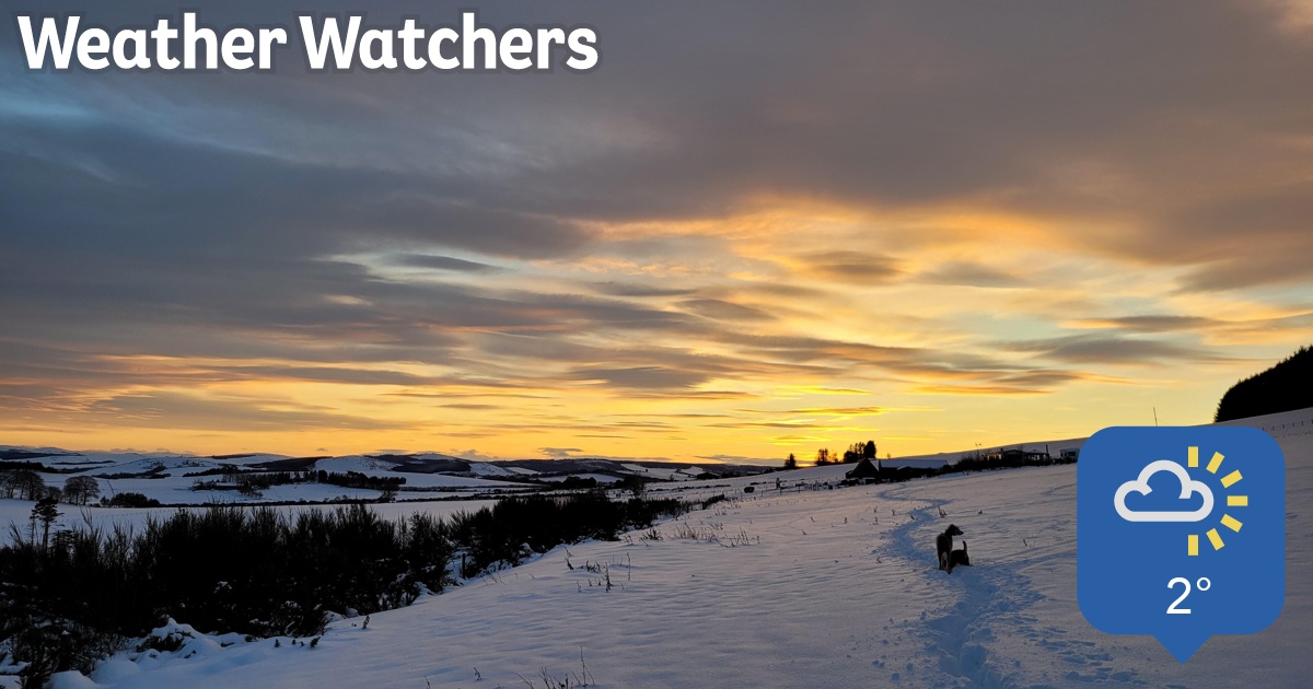 Report - BBC Weather Watchers