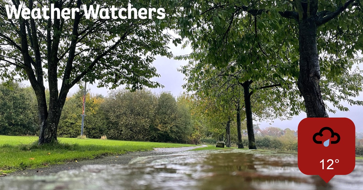 Report - BBC Weather Watchers