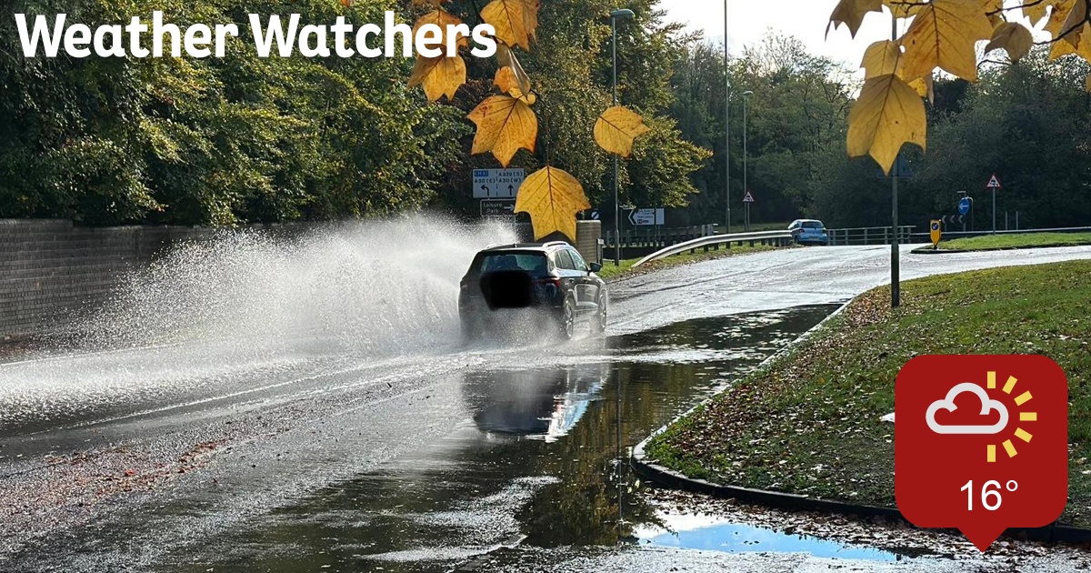 Report - BBC Weather Watchers