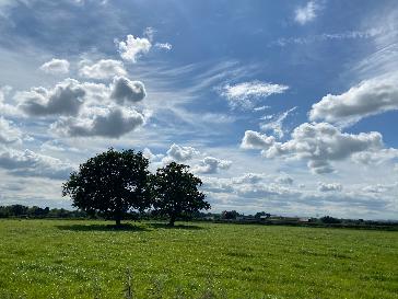 Minehead - BBC Weather