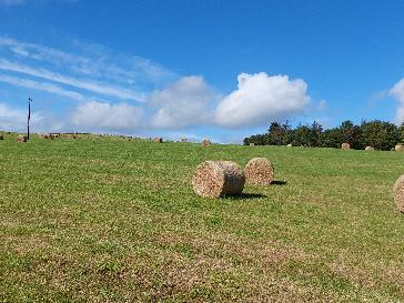 Moniaive - BBC Weather