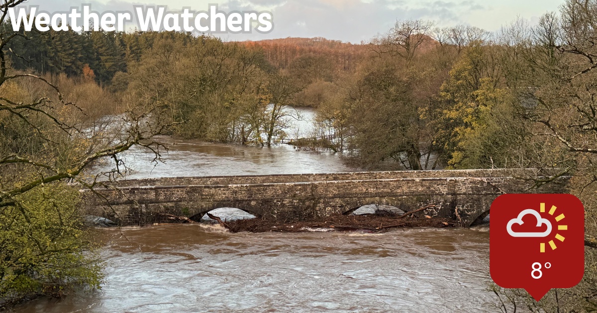 Report - BBC Weather Watchers