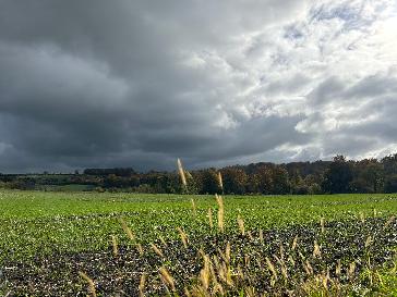 Devizes - BBC Weather
