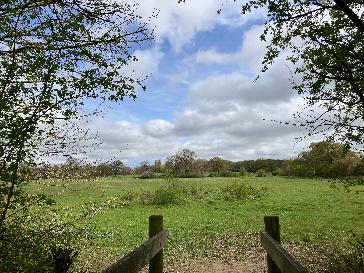 Farnborough - BBC Weather