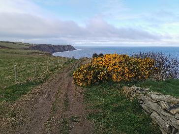 Harrogate - BBC Weather