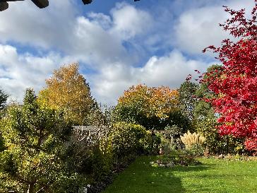 Maidenhead - BBC Weather