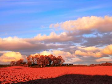 Arbroath - BBC Weather