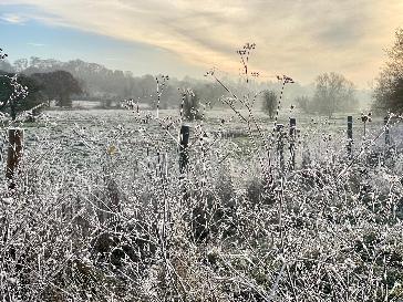 Baldock - BBC Weather