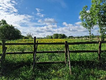 Calverton - BBC Weather