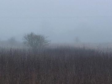 Northampton - BBC Weather