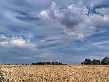 Braintree - BBC Weather