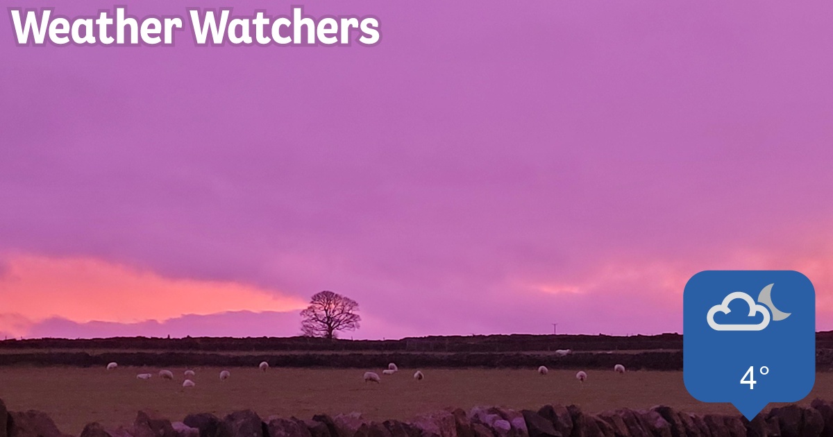 Report - BBC Weather Watchers