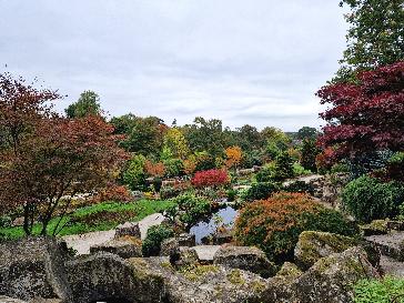 Woking - BBC Weather