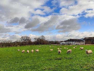 Leicester - BBC Weather