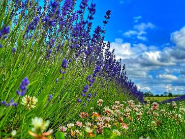 Evesham - BBC Weather