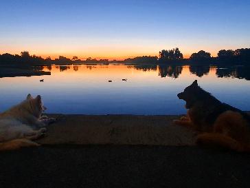 Bingley - BBC Weather