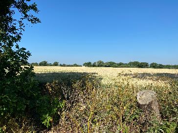 Witham - BBC Weather