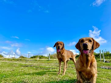 Leyland - BBC Weather