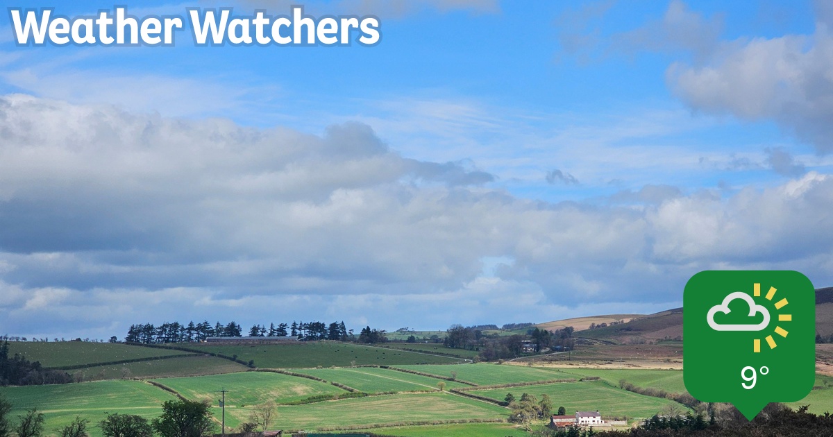 Report - BBC Weather Watchers