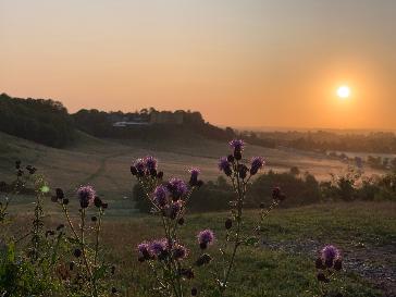 Bristol - BBC Weather