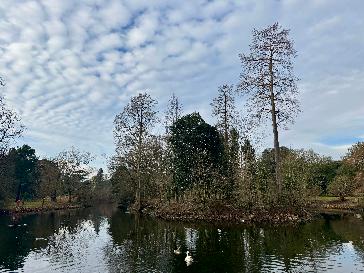 Enfield Town - BBC Weather