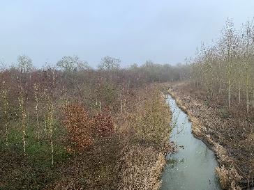 Alcester - BBC Weather