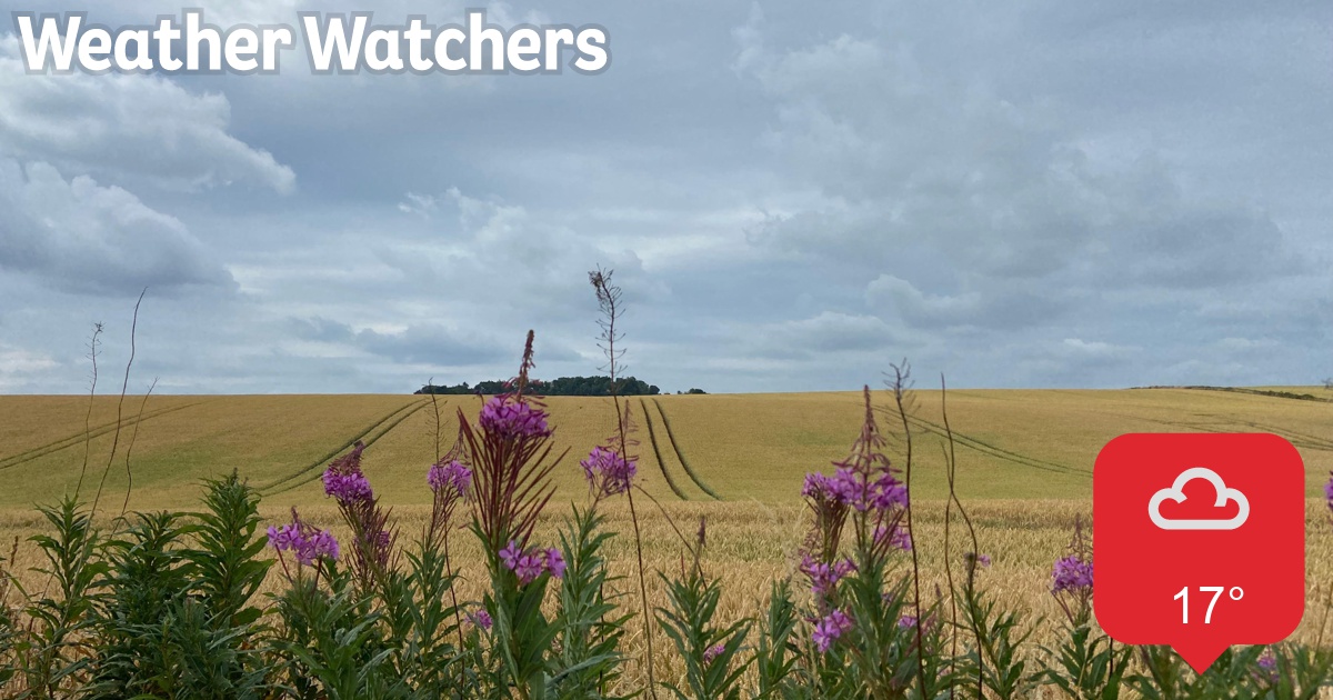 Report - BBC Weather Watchers