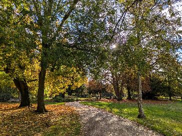 Watford - BBC Weather