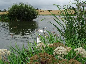 Coleraine - BBC Weather