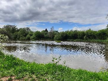 Chesterfield - BBC Weather